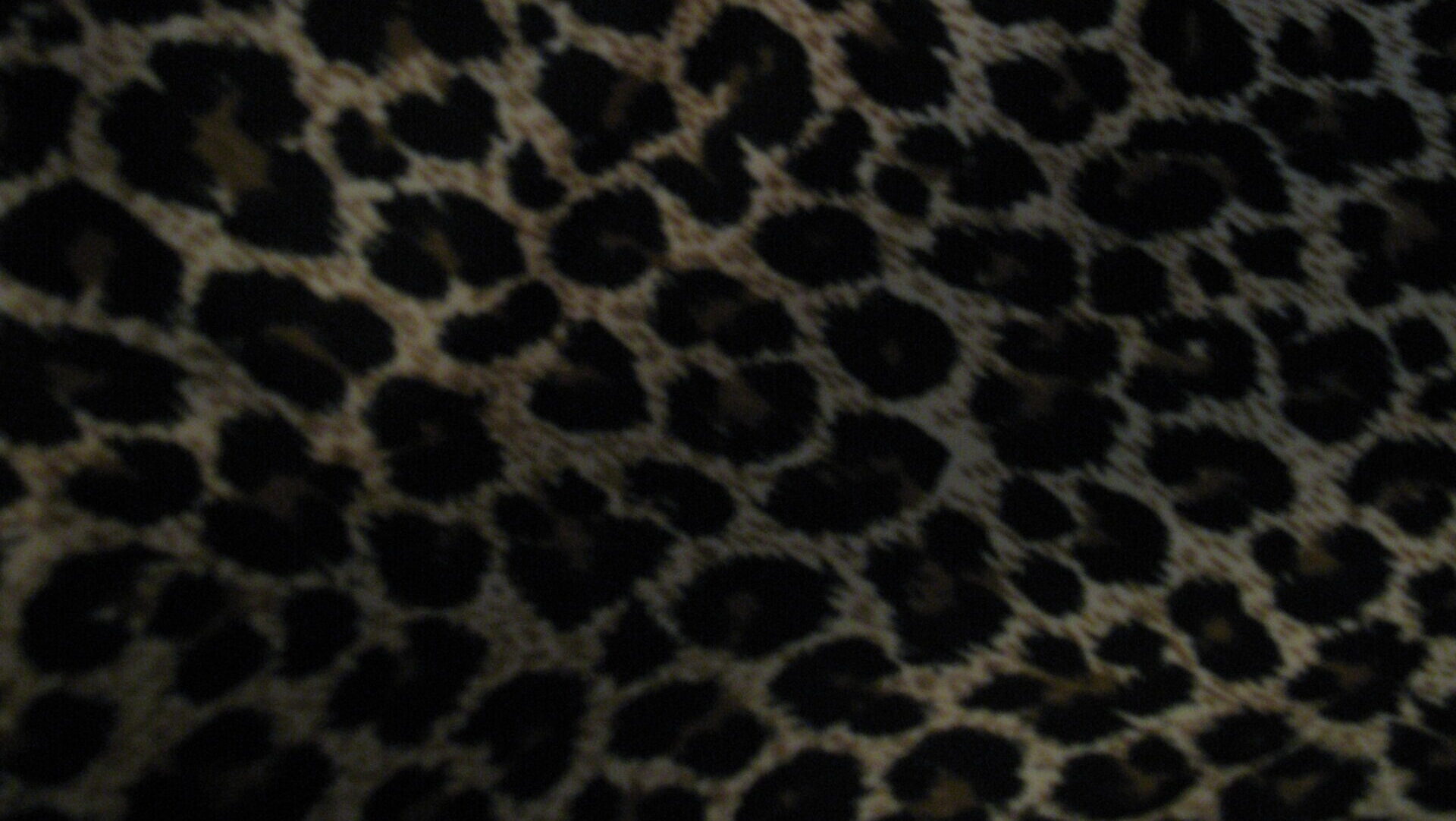 cropped-Leopard_Skin-black-scaled-1.jpg – Ludmilla Muse